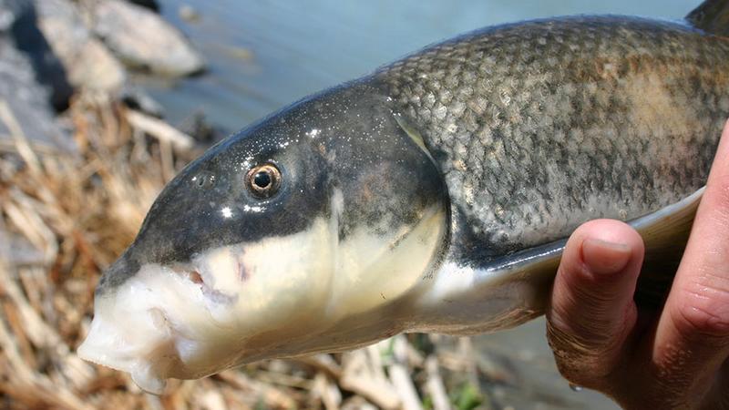 DOI's Trujillo celebrates 'major milestone for the Central Utah Project ...