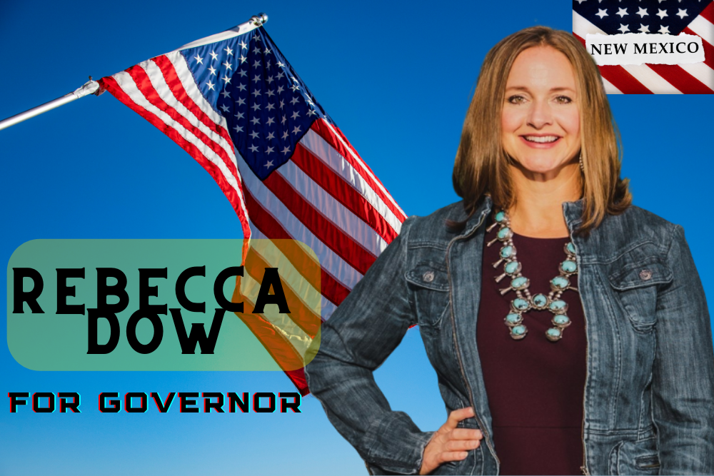 Campaigns Daily | Rebecca Dow for Governor: MVD - Very Limited in ...