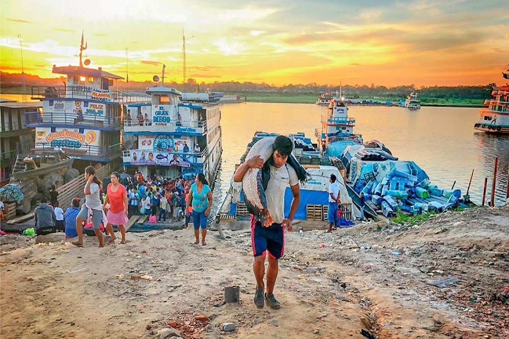 Amazon River Freshwater Fish Show Signs of Overexploitation | Current ...