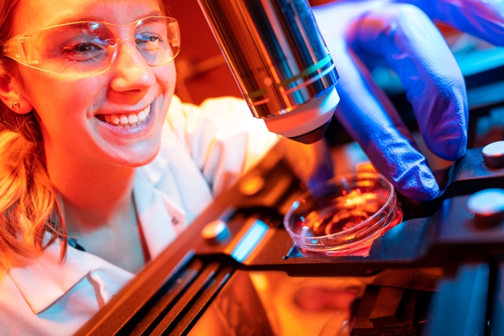 Human Brain Organoids Implanted into Mouse Cortex Respond to Visual ...