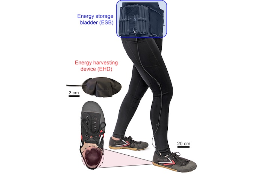 Powering an ‘Arm’ with Air Could Be Mighty Handy | Current Science Daily