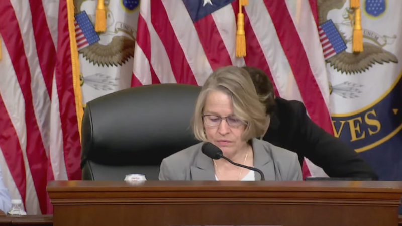 Miller-Meeks at Washington, D.C., hearing: 'We expect better of the VA ...