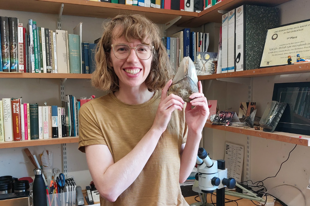 What Did Megalodon Eat? Anything It Wanted — Including Other Predators ...