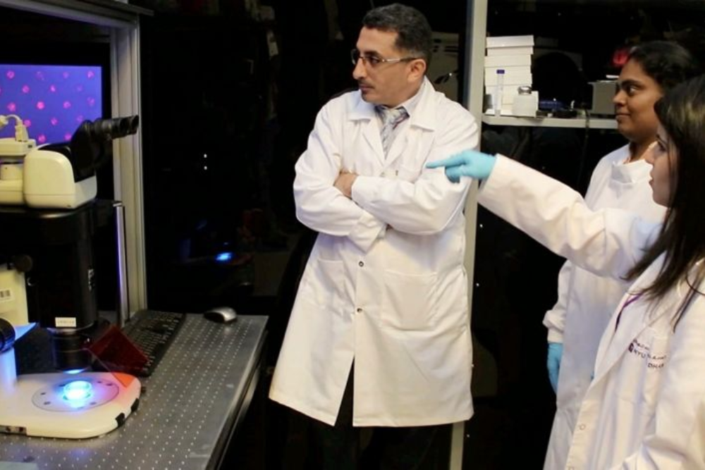 Researchers Develop Novel 3D Atomic Force Microscopy Probes | Current ... Researchers Develop Novel 3D Atomic Force Microscopy Probes | Current ...