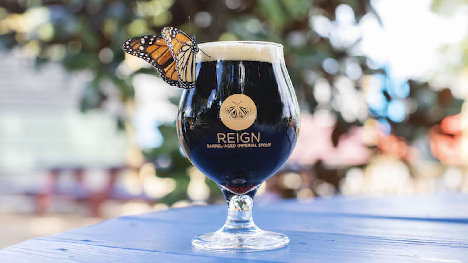 Beer for Butterflies: Dr. Jaret Daniels' initiative for butterfly ...