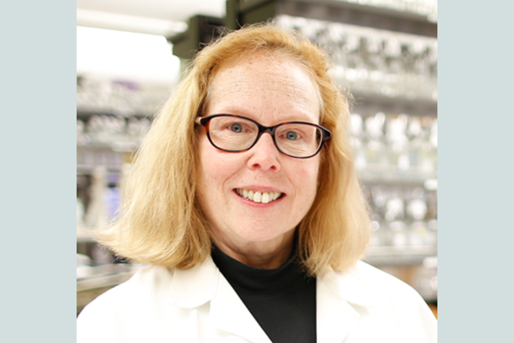 Breast Cancer Vaccine Safely Generates Anti-Tumor Immunity | Current ...