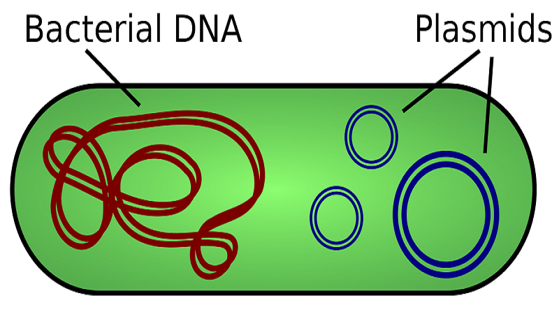 Environmental Microbiology article asks: How many different types of ...