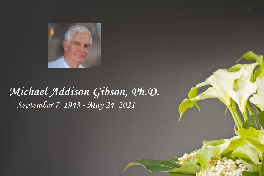 Michael Addison Gibson, Ph.D. | Houston Daily