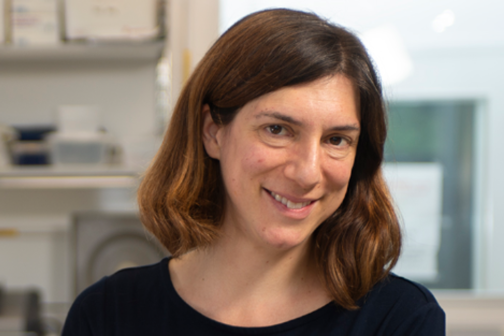 First Wiring Map Of Insect Brain Complete | Current Science Daily