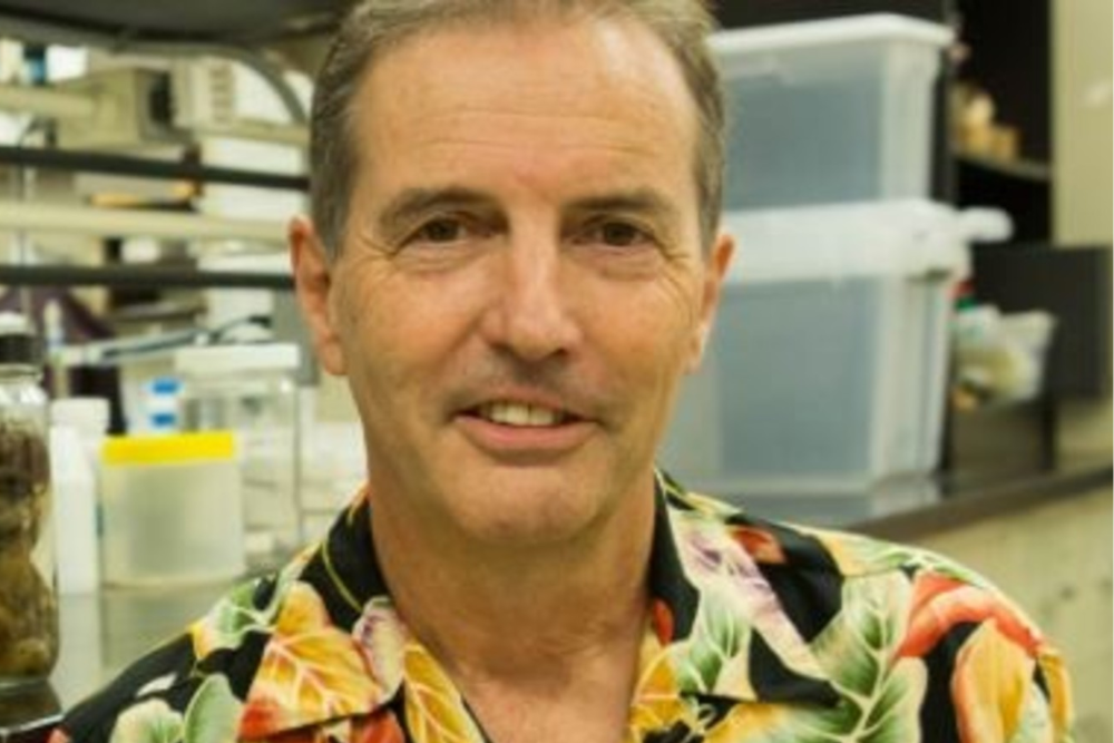 New Rat Lungworm Disease Resource To Help Doctors With Diagnosis ...